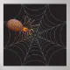 Spider And Spider Web Poster | Zazzle