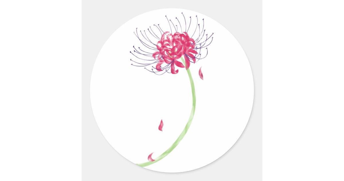 Spider Lily Classic Round Sticker | Zazzle