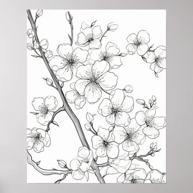 Spring Flowers Colouring Poster for Adults | Zazzle