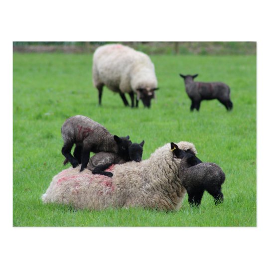 Autism Awareness Cards & Invitations | Zazzle.co.uk