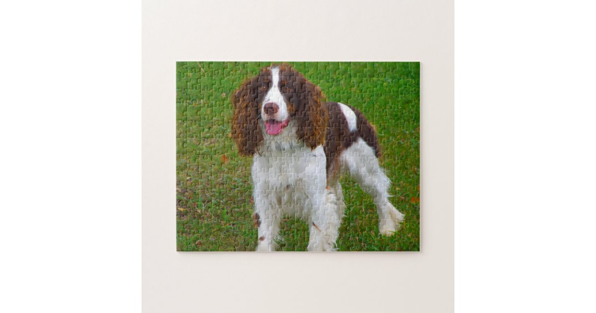 Springer Spaniel Dog Jigsaws. Jigsaw Puzzle | Zazzle