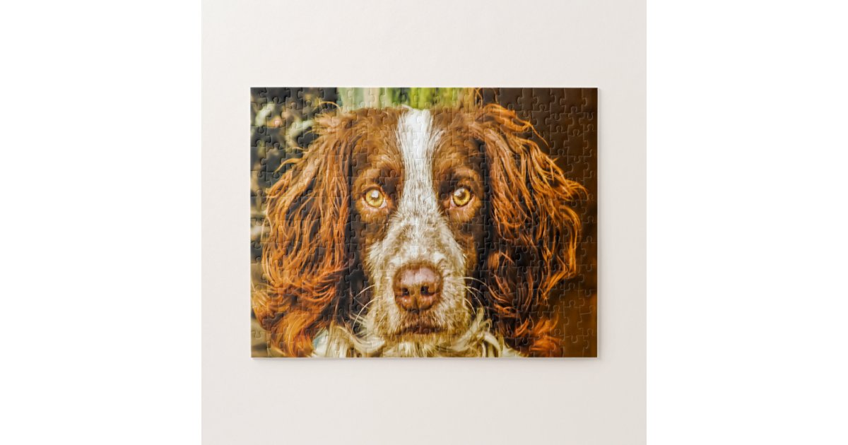 Springer Spaniel Dog Jigsaws. Jigsaw Puzzle | Zazzle