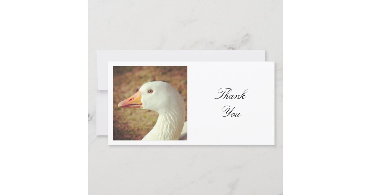 Square Photo - Goose Thank You Card | Zazzle