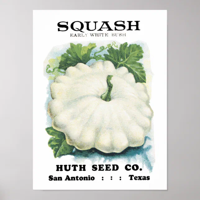 Squash Vintage Seed Packet Poster | Zazzle