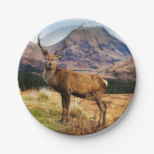 Stag Plates | Zazzle UK