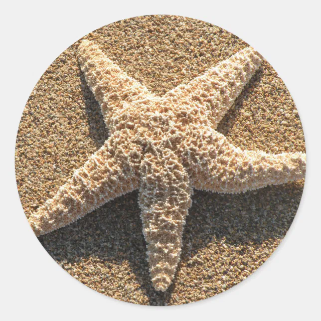 Starfish on the beach classic round sticker | Zazzle