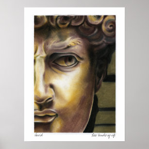 Statue Of David Posters & Prints | Zazzle UK