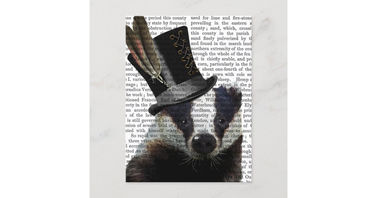 Steampunk Badger in Top Hat Postcard | Zazzle