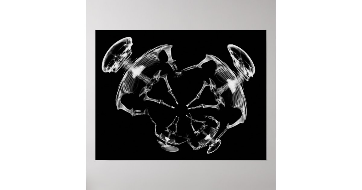 Stretched X-Ray Skeleton Family B&W Poster | Zazzle