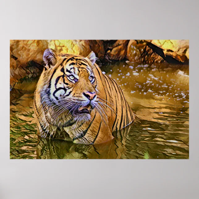 Sumatran Tiger in water painting Poster | Zazzle