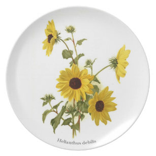 Sunflower Plates | Zazzle UK