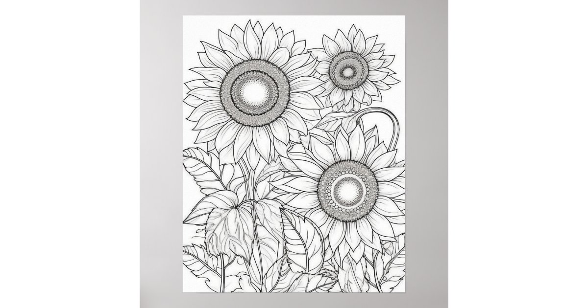 Sunflowers Colouring Poster for Adults | Zazzle