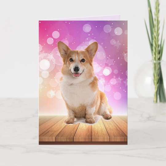 Super Cute Corgi Birthday Card | Zazzle.co.uk