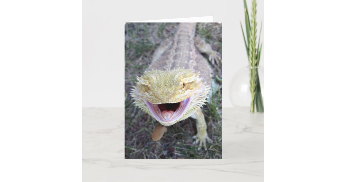 Super Happy Bearded Dragon Card | Zazzle.co.uk