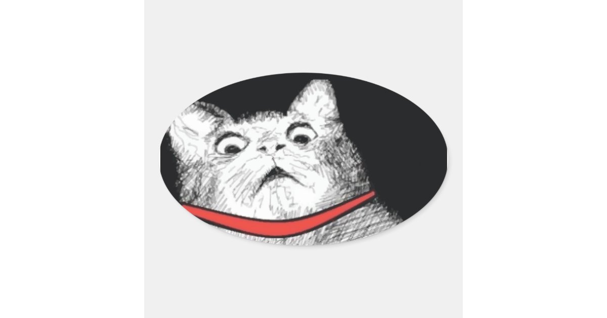 Surprised Cat Gasp Meme - Oval Stickers | Zazzle