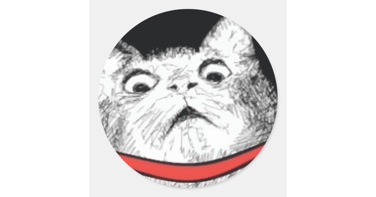 Surprised Cat Gasp Meme - Round Stickers | Zazzle