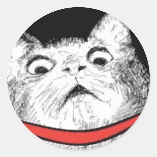 Surprised Cat Gasp Meme - Round Stickers | Zazzle