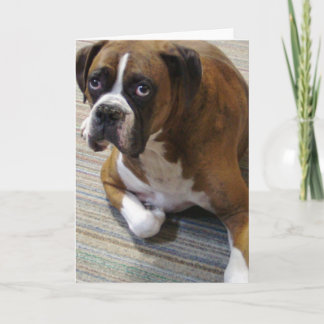 Boxer Dog Cards & Invitations | Zazzle.co.uk