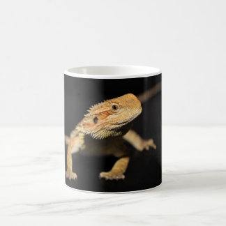 Bearded Dragon Gifts - T-Shirts, Art, Posters & Other Gift Ideas | Zazzle