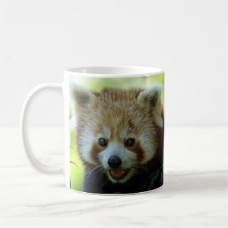 Red Panda Gifts - T-Shirts, Art, Posters & Other Gift Ideas | Zazzle
