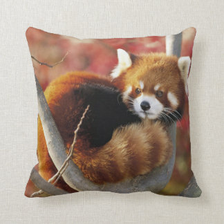Red Panda Gifts - T-Shirts, Art, Posters & Other Gift Ideas | Zazzle
