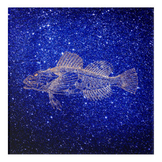 Deep Sea Art, Posters & Framed Artwork | Zazzle.co.uk
