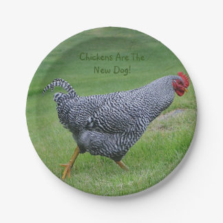 Chicken Plates | Zazzle.co.uk