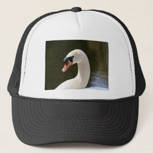 Swan Hats & Caps | Zazzle UK