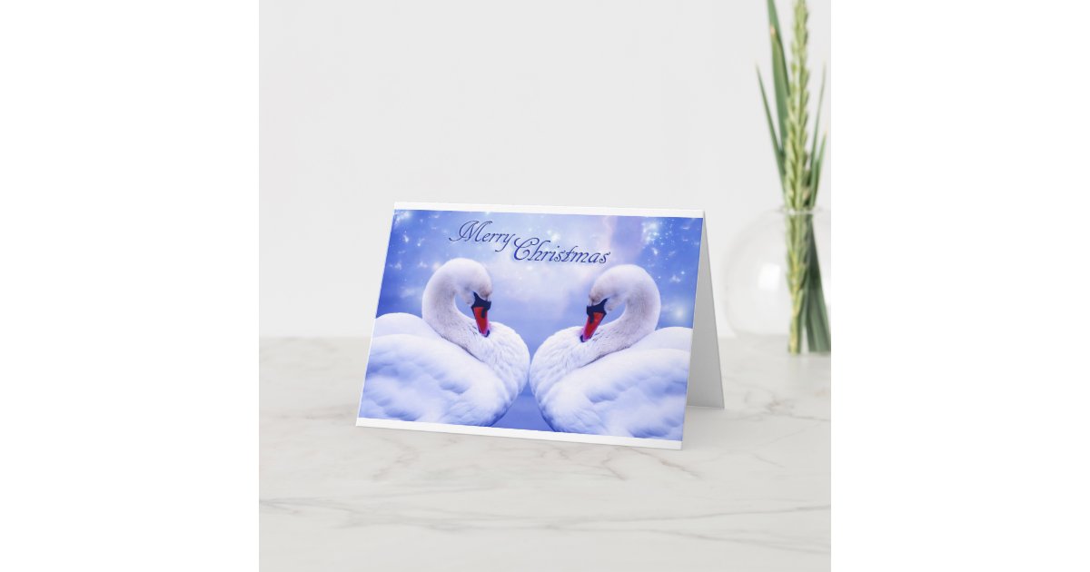 Swans Christmas Card | Zazzle
