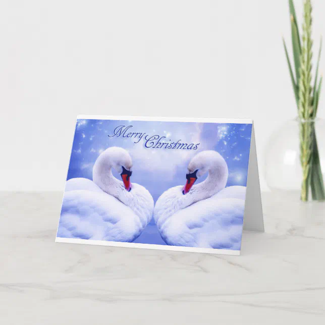 Swans Christmas Card | Zazzle