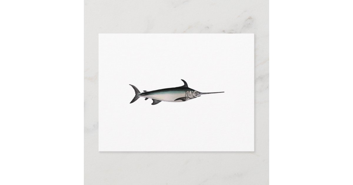 Swordfish Logo Postcard | Zazzle