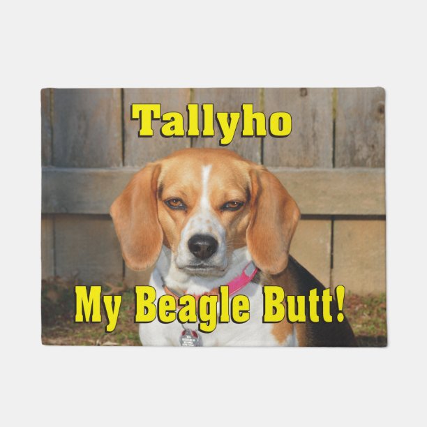 Beagle Doormats & Welcome Mats | Zazzle UK