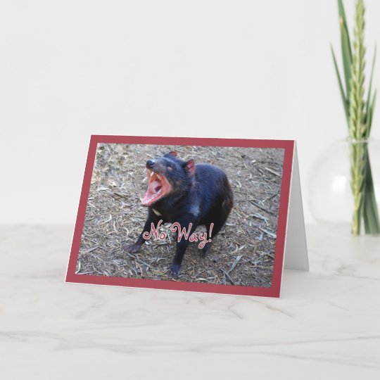 Tasmanian Devil Happy Birthday Greeting Card | Zazzle.co.uk