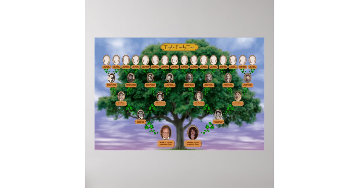 Taylor Family Tree Poster | Zazzle