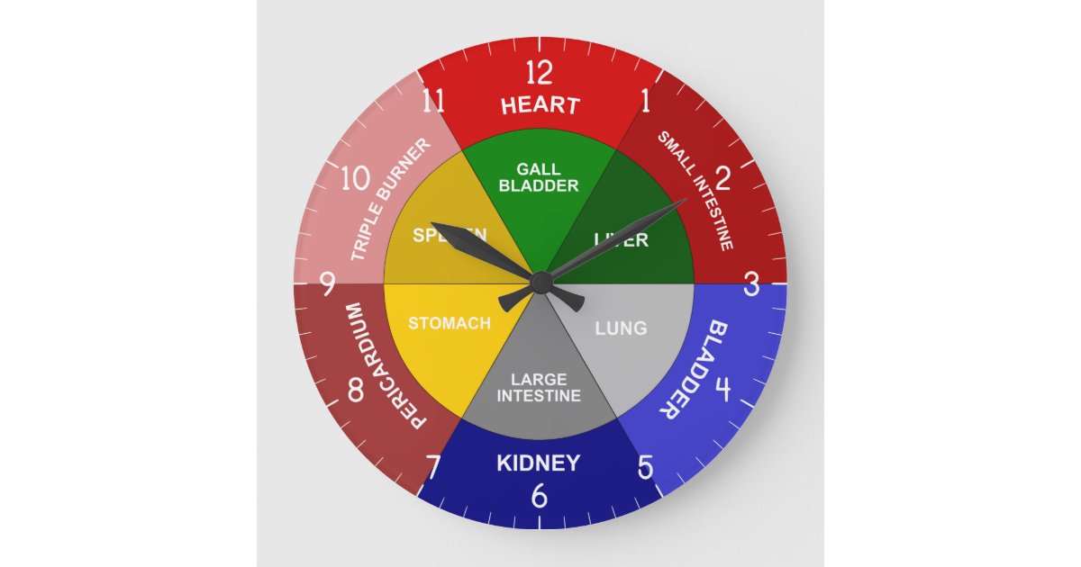 TCM Clock - Chinese Organ Clock - TCM Body Clock | Zazzle