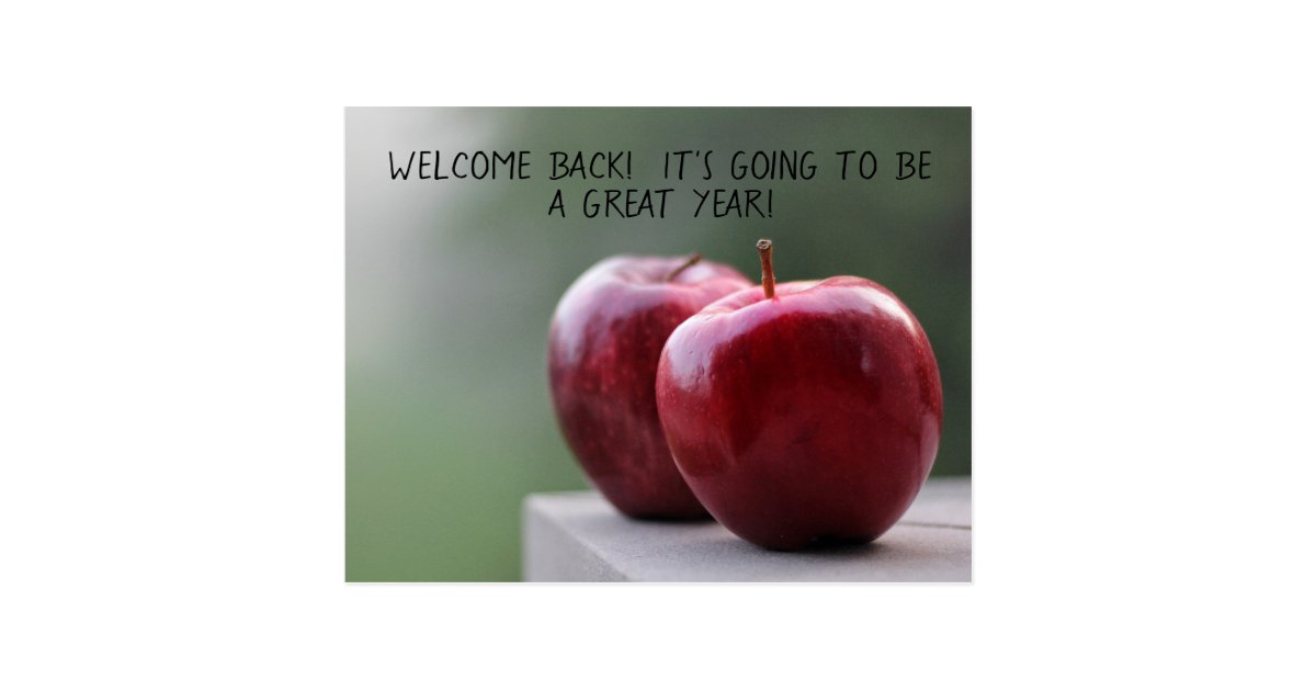 Teaching and School Staff Welcome Back Postcards | Zazzle.co.uk