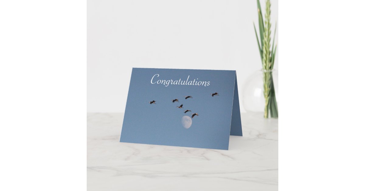 Team Welcome Congratulations Card | Zazzle.co.uk