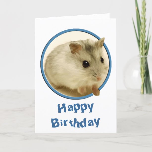 Hamster Birthday Cards | Zazzle UK
