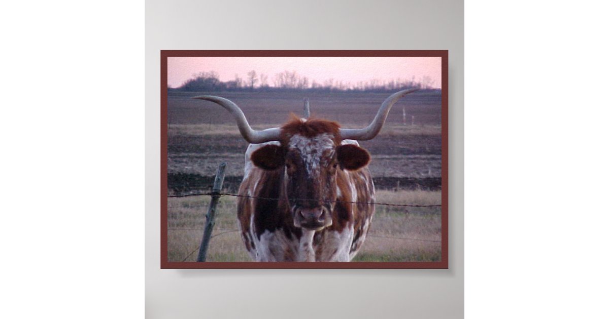Texas Longhorn Poster | Zazzle