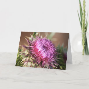 Thistle Cards | Zazzle UK