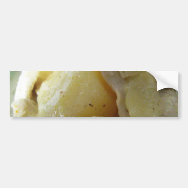 Thai Yellow Curry [แกงกะหรี่] .. Asian Street Food Bumper Sticker | Zazzle