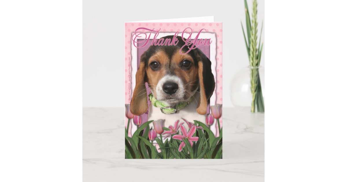Thank You - Beagle Puppy | Zazzle