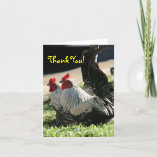 Chicken Thank You Cards | Zazzle UK