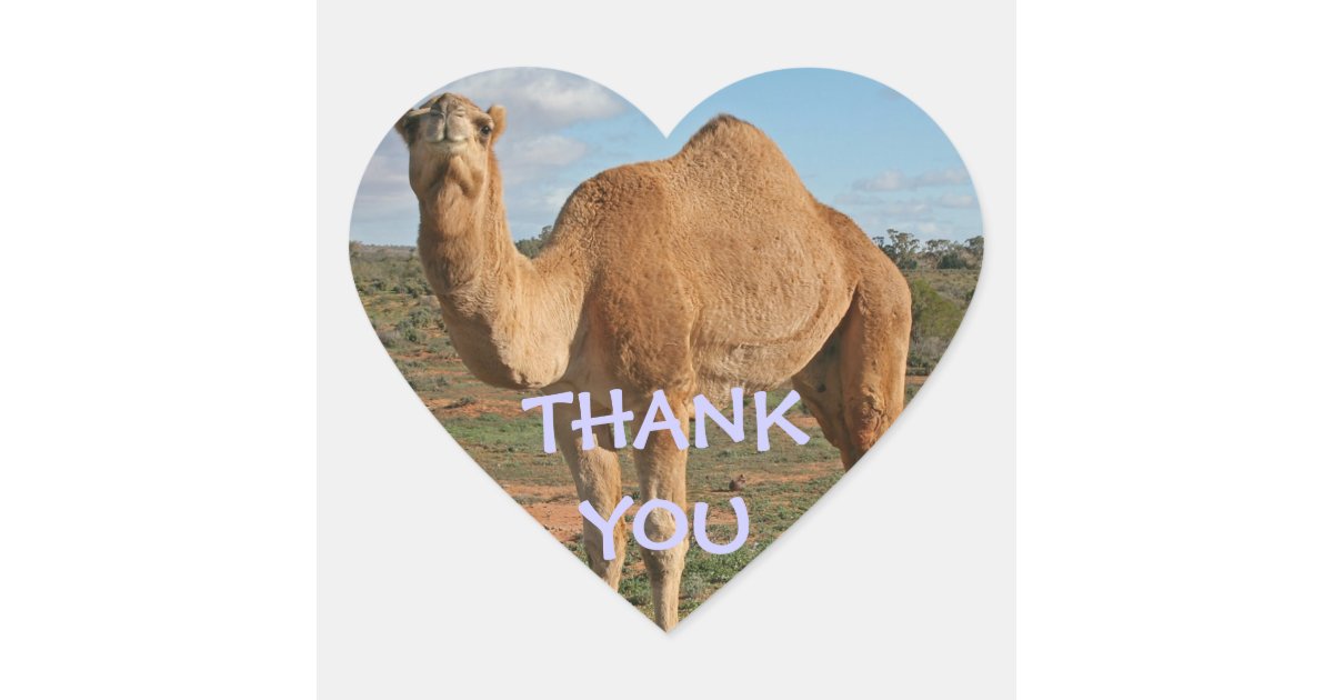 THANK YOU CAMEL HEART STICKER | Zazzle