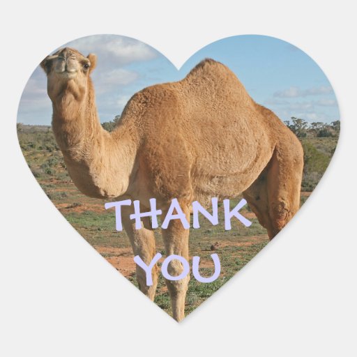 THANK YOU CAMEL HEART STICKER | Zazzle