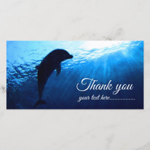 Dolphin Thank You Cards | Zazzle UK
