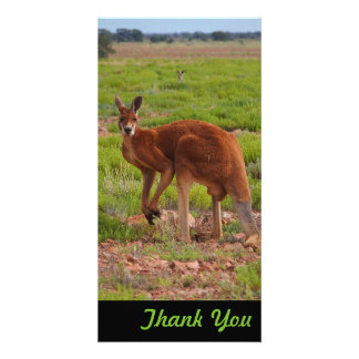 Australian Photo Cards | Zazzle.co.uk