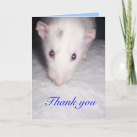 Rat Cards | Zazzle UK