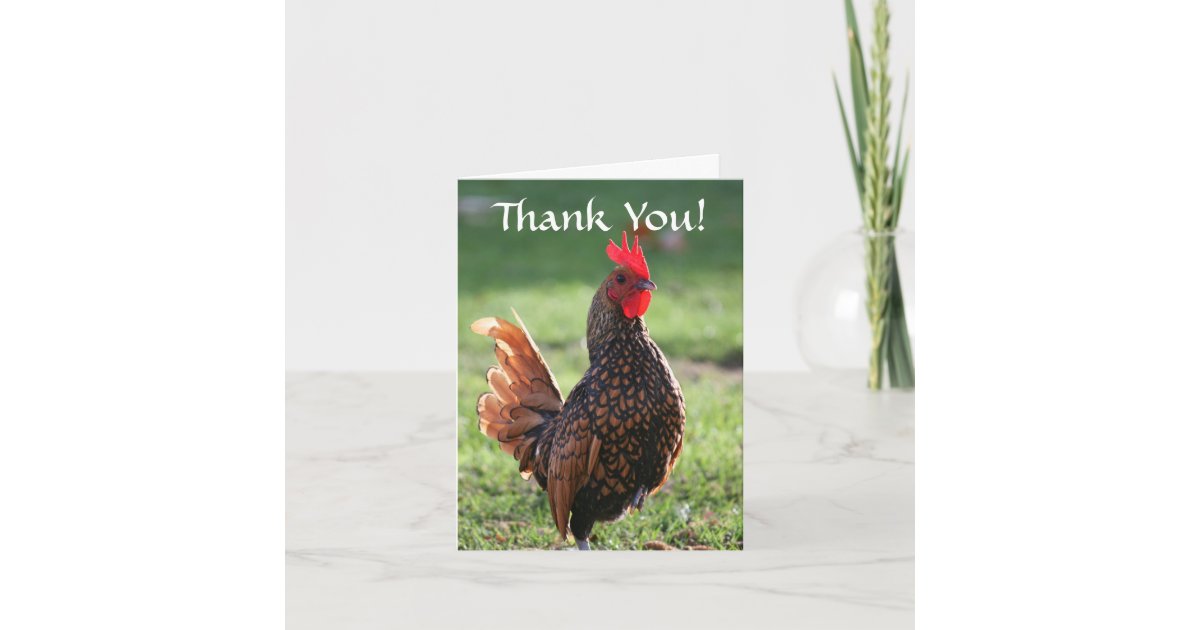Thank You, Rooster Thank You Card | Zazzle