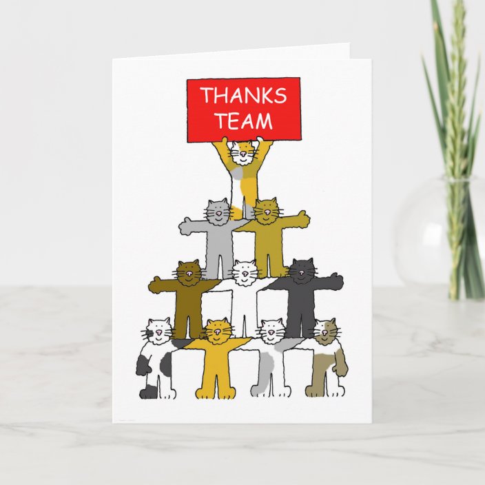 Thanks Team Cartoon Cats Thank You Card | Zazzle.co.uk
